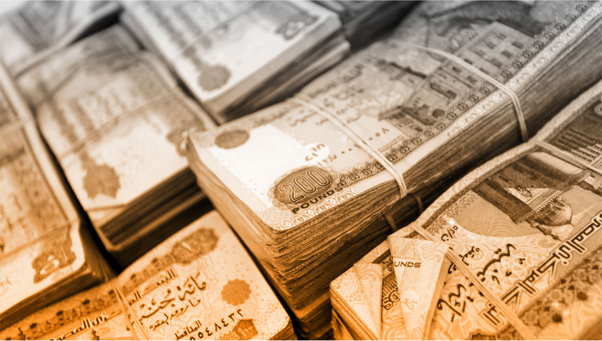 Course: Financial investigations in a cash economy | Basel Institute LEARN